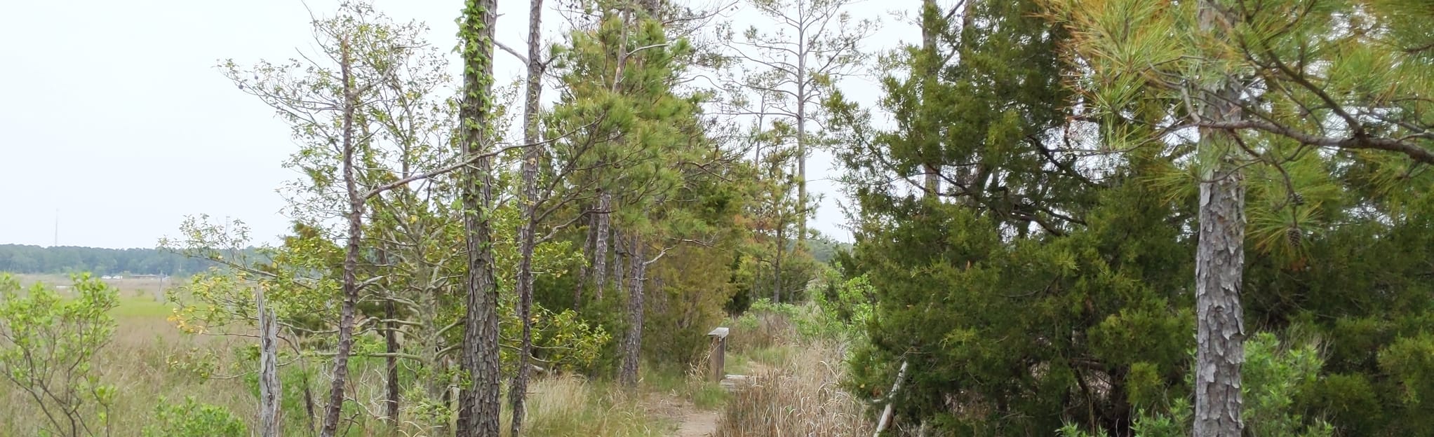 Periwinkle Point Trail: 21 Reviews, Map - Maryland | AllTrails