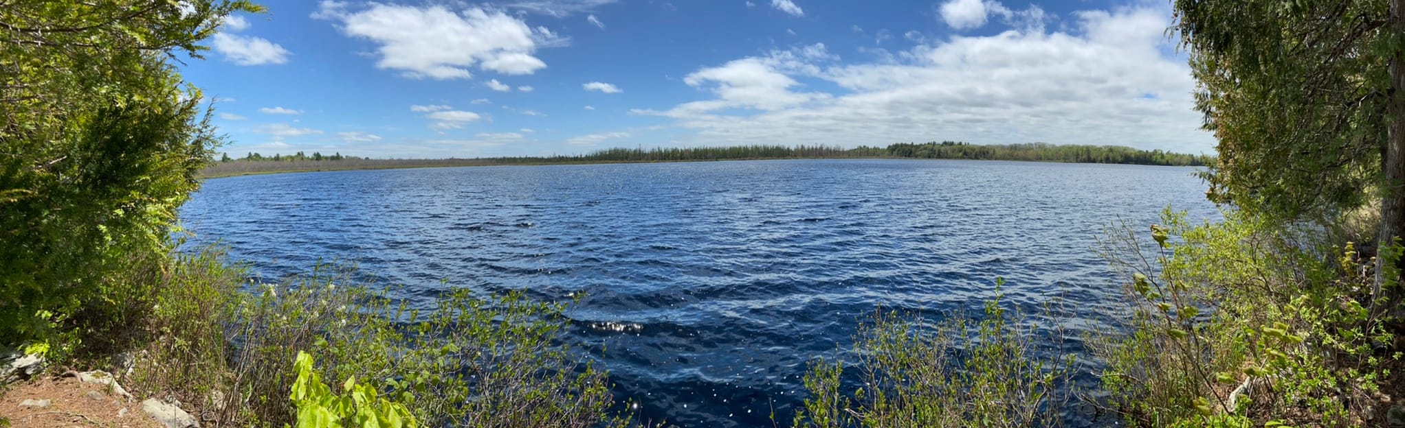 North, Dumbo's Dilemma, Wild Kingdom, and Shore Trail Loop, Maine - 61 ...