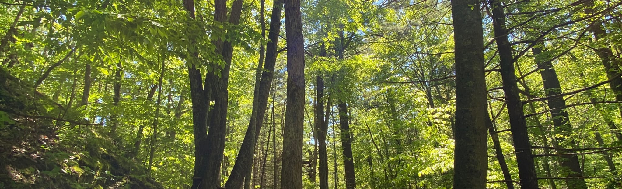 Champlain Blue Loop, Connecticut - 38 Reviews, Map | AllTrails