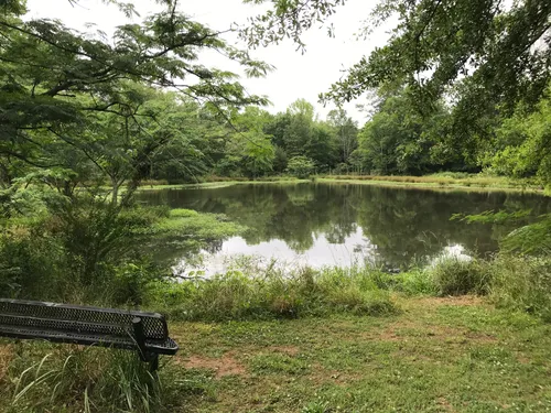 Best Hikes and Trails in Stephens Park | AllTrails