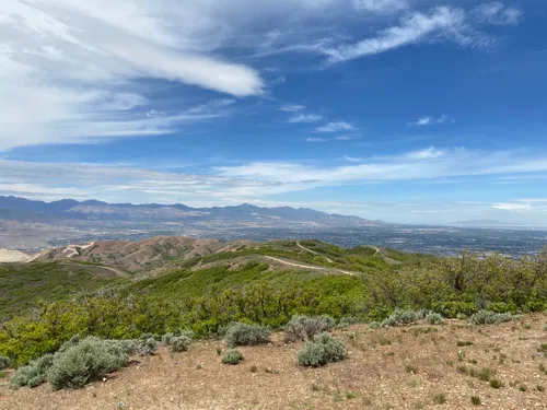 10 Best Trails and Hikes in Draper | AllTrails