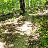 Pinhoti Trail: Adam's Gap to Cheaha State Park, Alabama - 128 Reviews ...