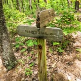 Pinhoti Trail: Adam's Gap to Cheaha State Park, Alabama - 128 Reviews ...