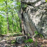 Pinhoti Trail: Adam's Gap to Cheaha State Park, Alabama - 128 Reviews ...