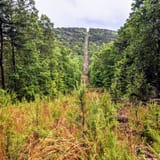 Pinhoti Trail: Adam's Gap to Cheaha State Park, Alabama - 128 Reviews ...