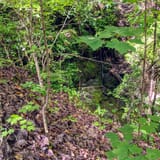 Pinhoti Trail: Adam's Gap to Cheaha State Park, Alabama - 128 Reviews ...