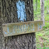 Pinhoti Trail: Adam's Gap to Cheaha State Park, Alabama - 128 Reviews ...