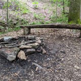 Pinhoti Trail: Adam's Gap to Cheaha State Park, Alabama - 128 Reviews ...