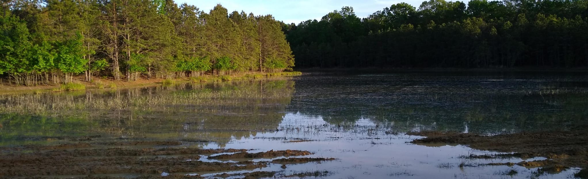 Jackson Road Northern Quarry Trail, New Jersey - 3 Reviews, Map | AllTrails
