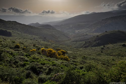 2023 Best 10 Trails, Walks, and Paths in Majdal Shams | AllTrails