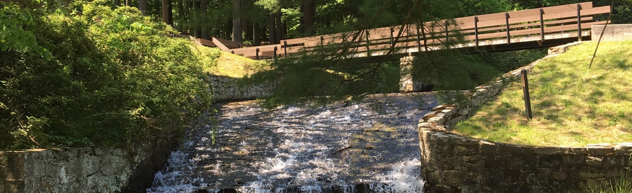 Doubling Gap Nature Trail, Pennsylvania - 115 Reviews, Map | AllTrails