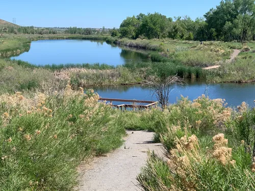 2023 Best 10 Lake Trails in Chatfield State Park | AllTrails