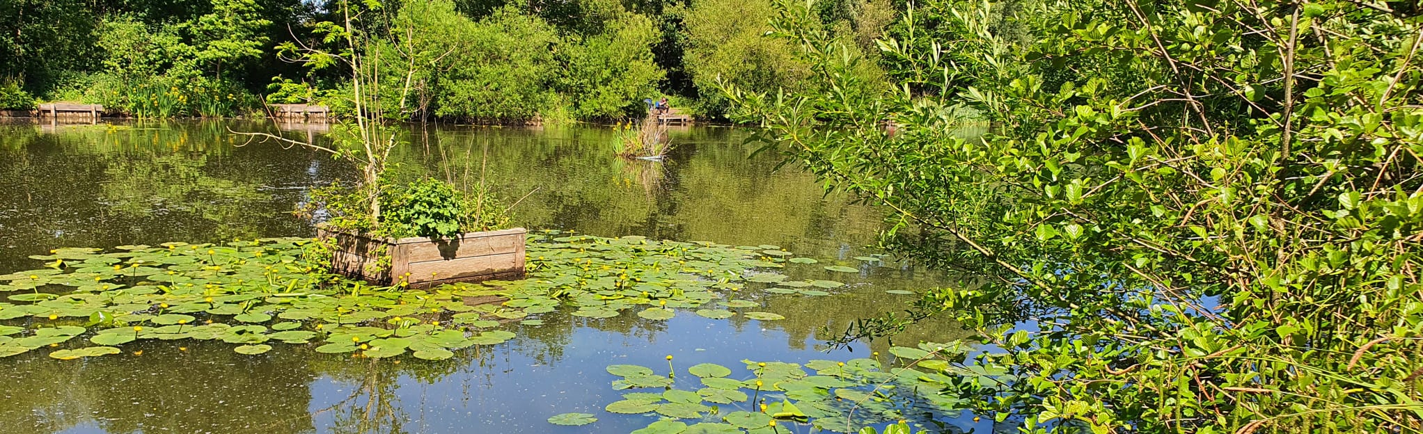 Boggart Hole Clough, Greater Manchester, England - 84 Reviews, Map ...