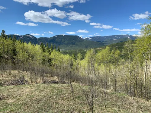 10 Best Trails and Hikes in Rocky View County | AllTrails