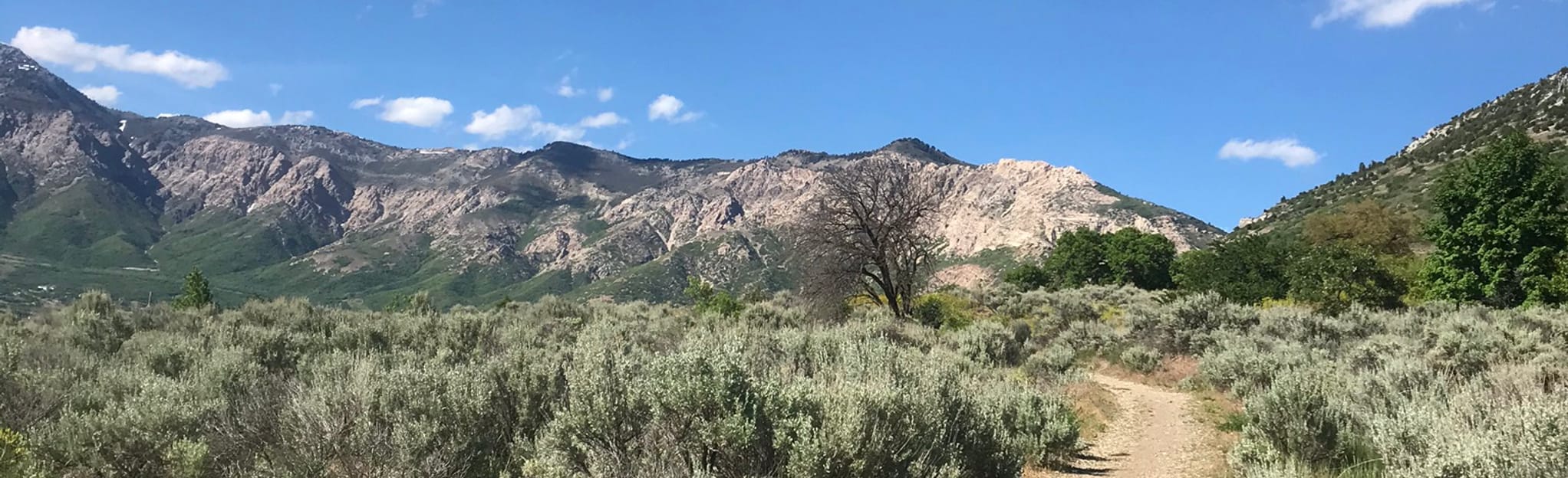 Power Line Trail, Utah - 226 Reviews, Map | AllTrails