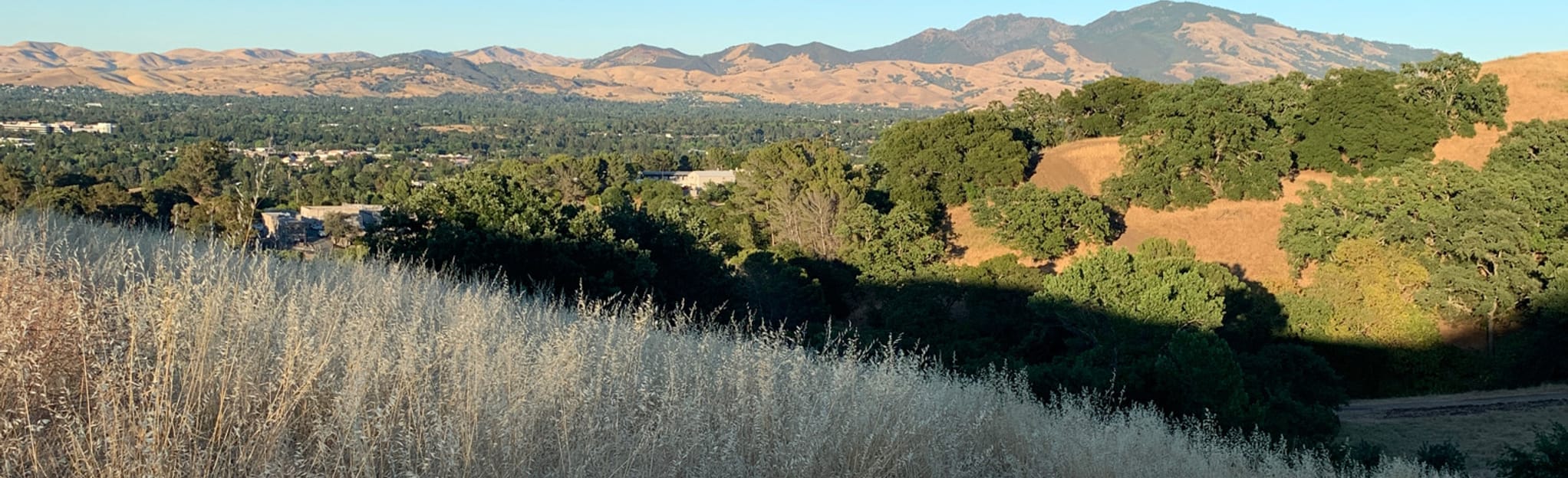 AllTrails | Acalanes Ridge Open Space Loop: 201 Reviews, Map - California