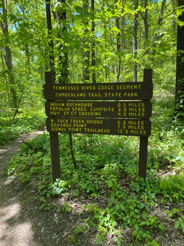 10 Best Hikes and Trails in Prentice Cooper State Forest | AllTrails