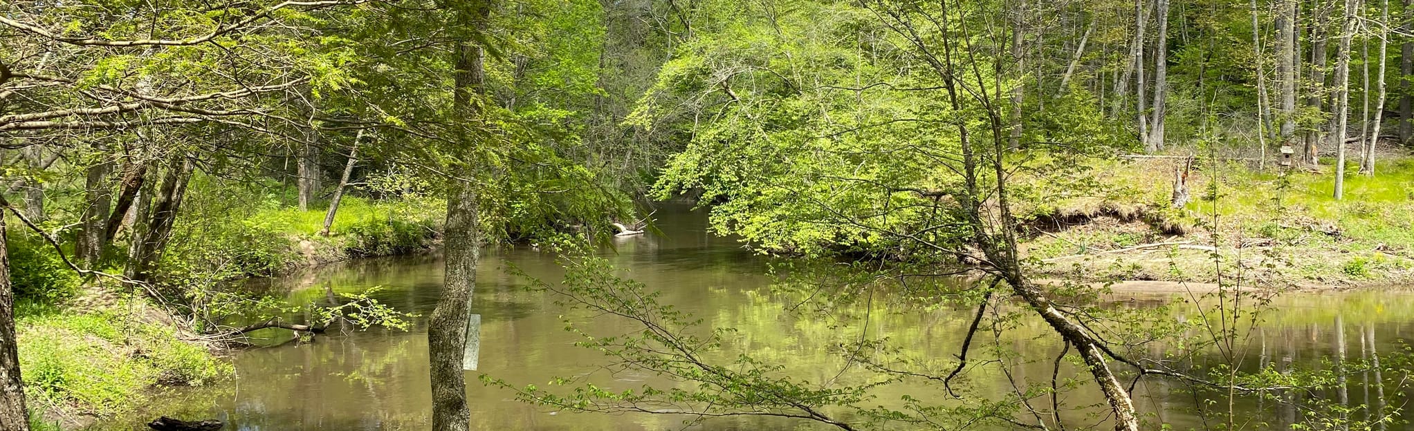 Bent of the River Outer Loop: 686 foto's - Connecticut | Wandelen ...