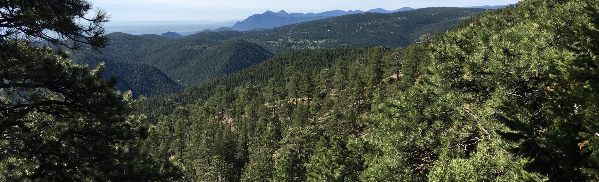 Lefthand Canyon Trail, Colorado - 456 Reviews, Map | AllTrails