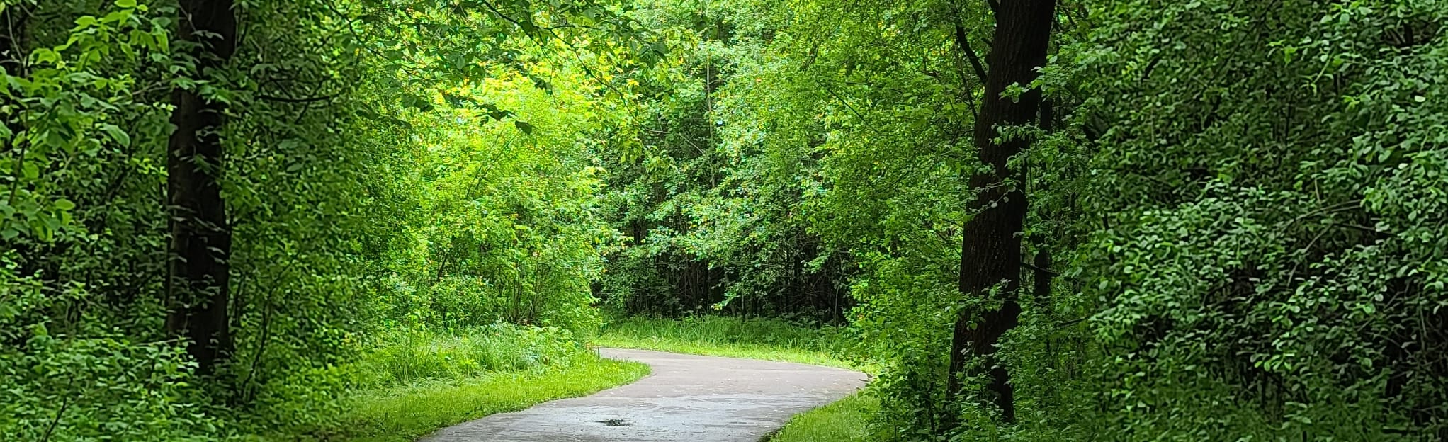 Jim Bell Preserve Walk, Minnesota - 49 Reviews, Map | AllTrails