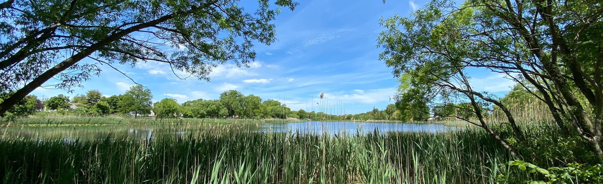 Baisley Pond Loop, New York - 61 Reviews, Map | AllTrails