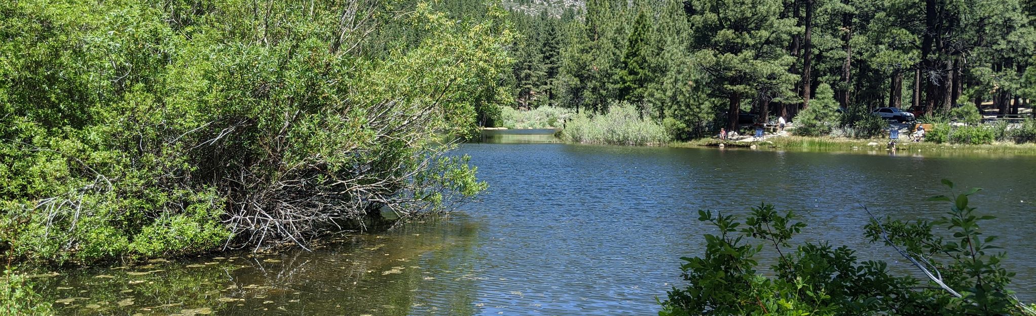 Ophir Creek and Discovery Trail Loop: 142 Reviews, Map - Nevada | AllTrails