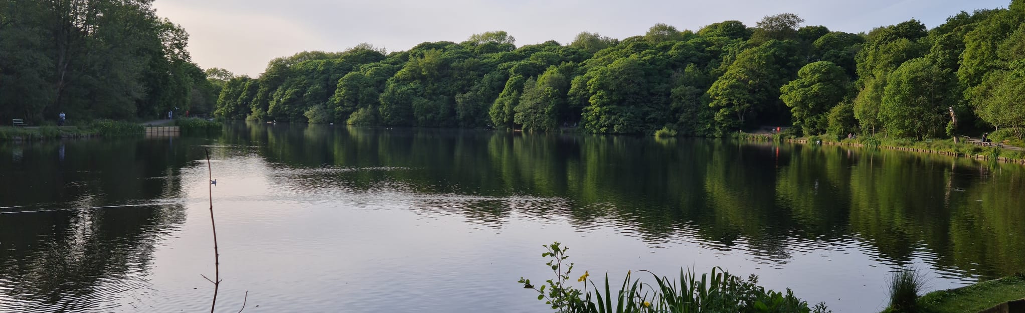 Yarrow Valley Country Park Loop: 134 Reviews, Map - Lancashire, England ...