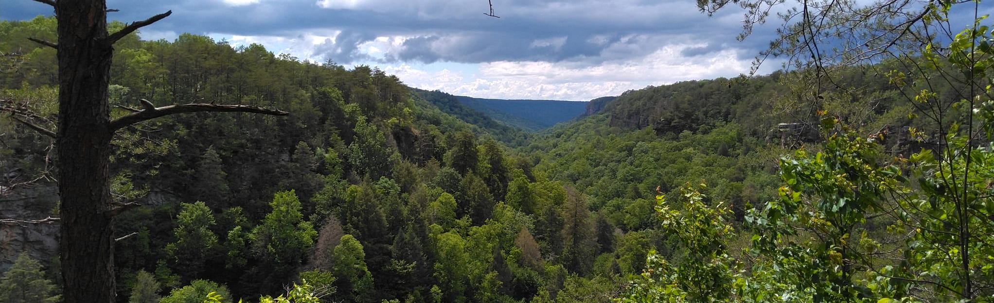 Savage Falls, Tennessee - 659 Reviews, Map | AllTrails