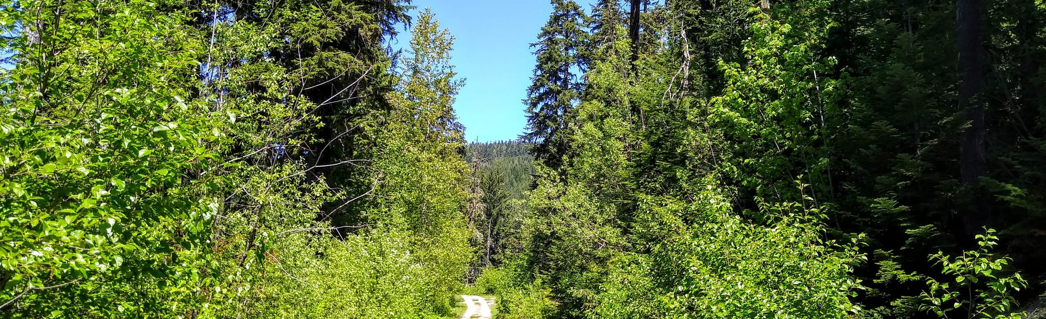 Microclimate: Advanced Mountain Biking Trail, British Columbia, Canada ...