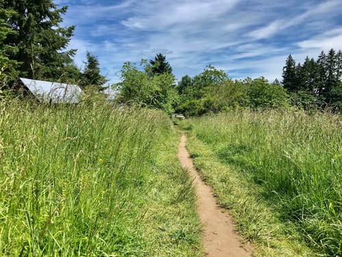 2023 Best 10 Trails and Hikes in Langley | AllTrails
