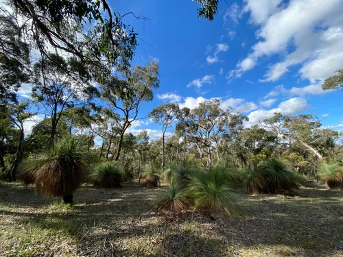 10 Best Hikes and Trails in Brisbane Ranges National Park | AllTrails