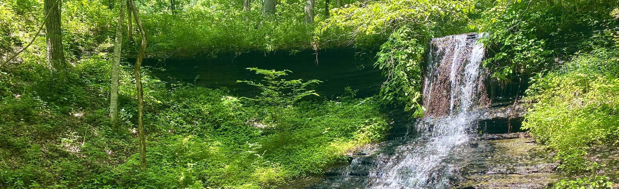 Fall Hollow Falls Trail, Tennessee - 142 Reviews, Map | AllTrails