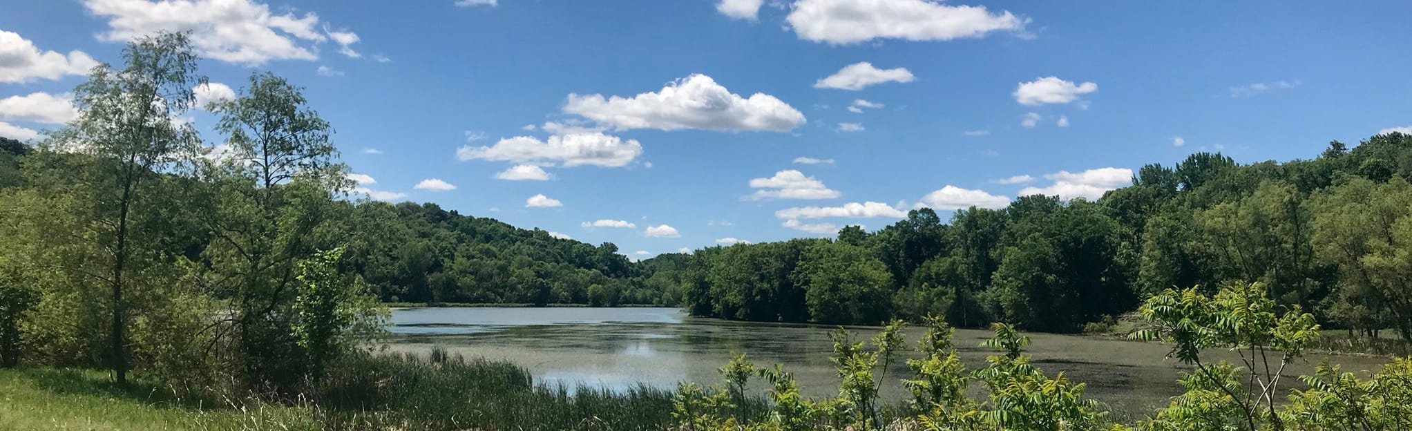 Indian Lake Park Foot Trail: 60 Reviews, Map - Minnesota | AllTrails