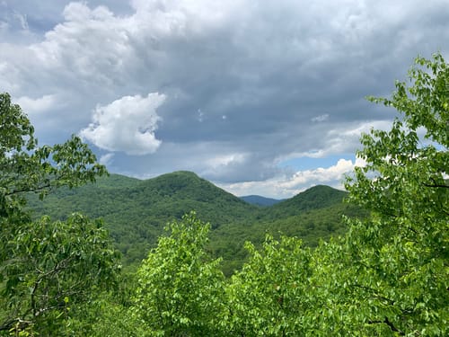 Best Hikes and Trails in Florence Nature Preserve | AllTrails