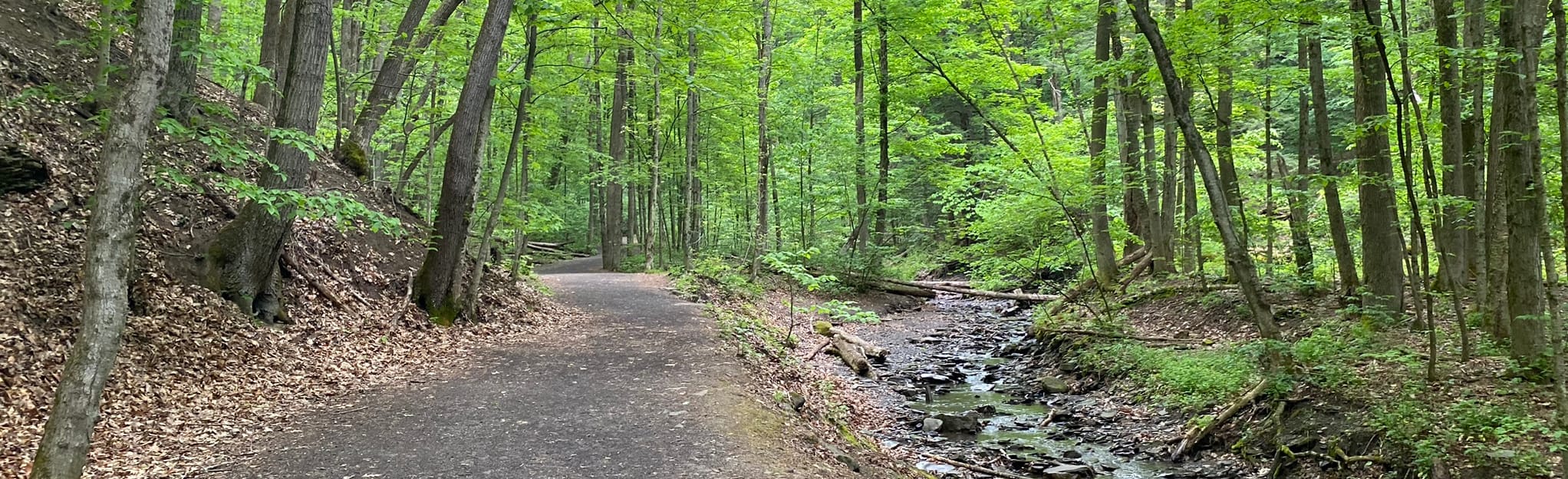Tinker Falls Trail: 429 Reviews, Map - New York | AllTrails