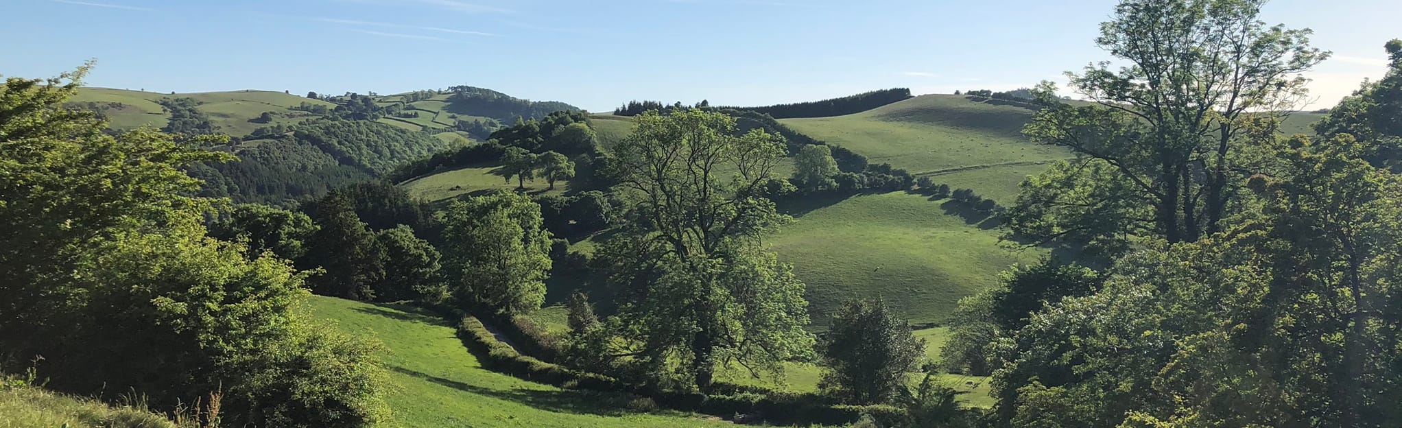 Clun Circular, Shropshire, England - 42 Reviews, Map | AllTrails