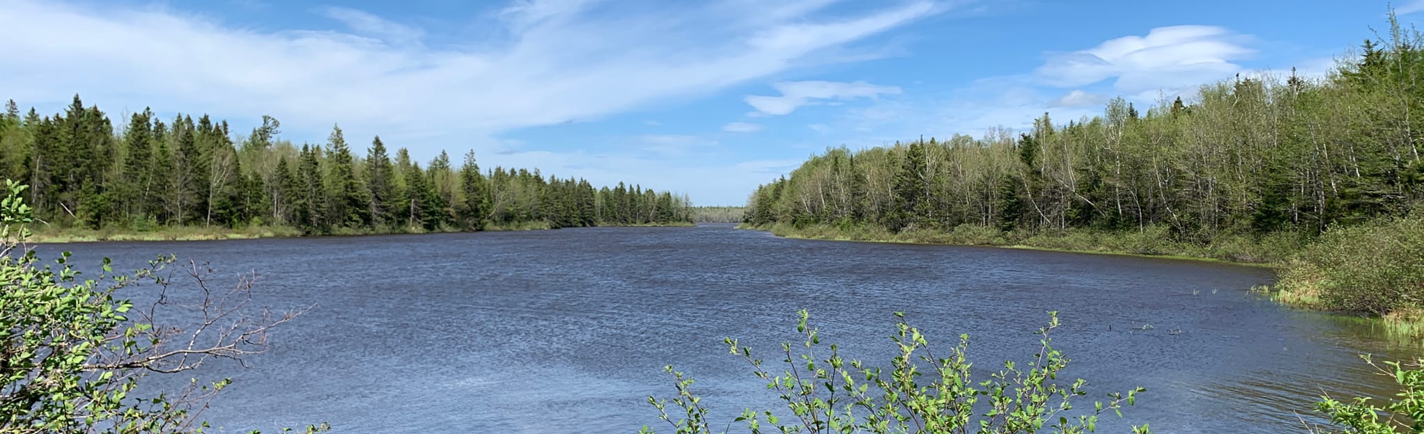 Spillway - Forêt Acadienne - John Howard -Dragonfly: 59 Reviews, Map ...