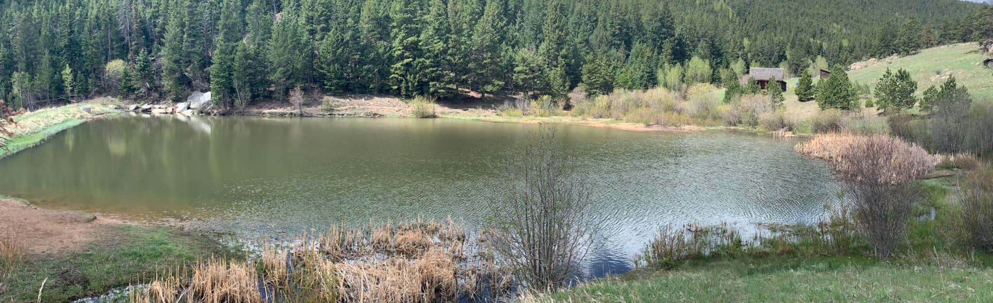 Windy Peak via Mountain Lion Loop, Colorado - 718 Reviews, Map | AllTrails