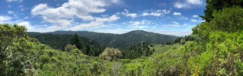 10 Best Hikes and Trails in Purisima Creek Redwoods Open Space Preserve ...