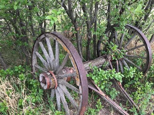 Best Hikes and Trails in Craik Regional Park | AllTrails