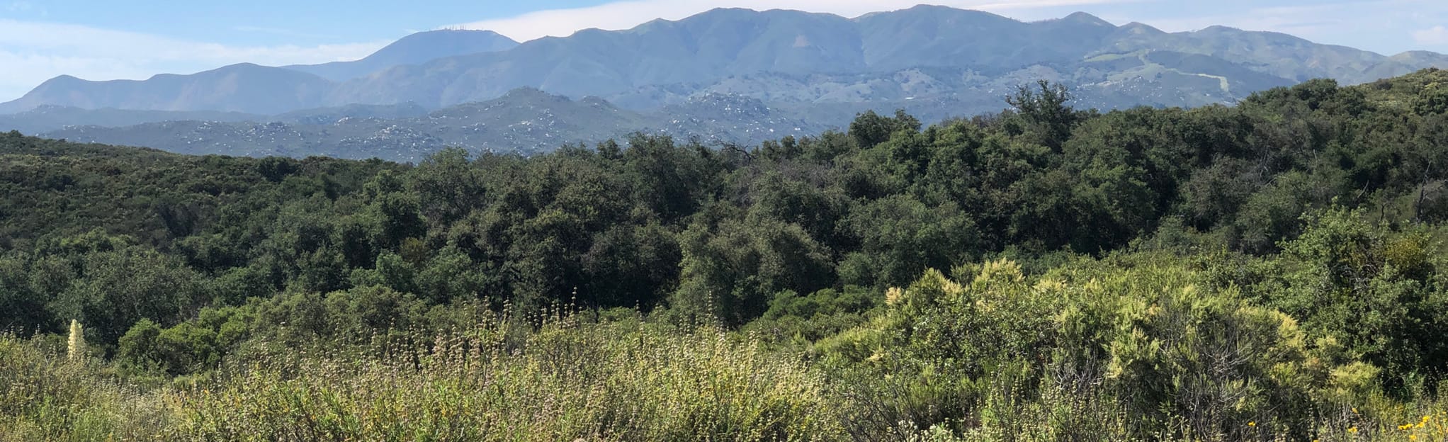 Ortega Oaks to Rancho Carrillo via Bear Canyon Trail and Verdugo Trail ...