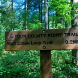 Four County Point Trail, Oregon - 116 Reviews, Map | AllTrails