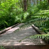 Four County Point Trail, Oregon - 116 Reviews, Map | AllTrails