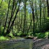 Four County Point Trail, Oregon - 116 Reviews, Map | AllTrails