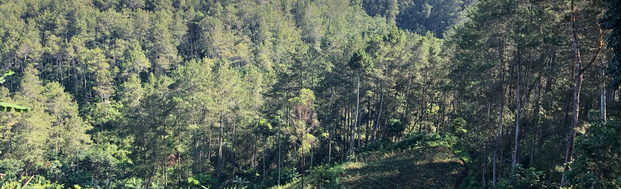 Keraton Cliff - Moko Hill - Lembang Fault | Map, Guide - West Java, Indonesia | AllTrails