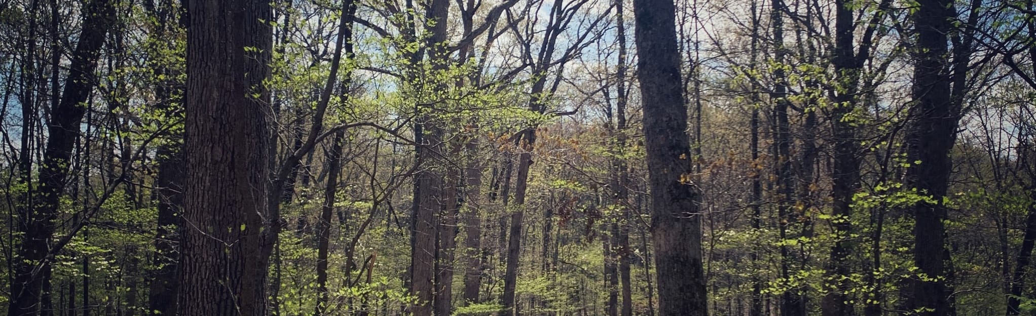 Fox Run Trail to Round House Loop Trail, Missouri - 513 Reviews, Map ...