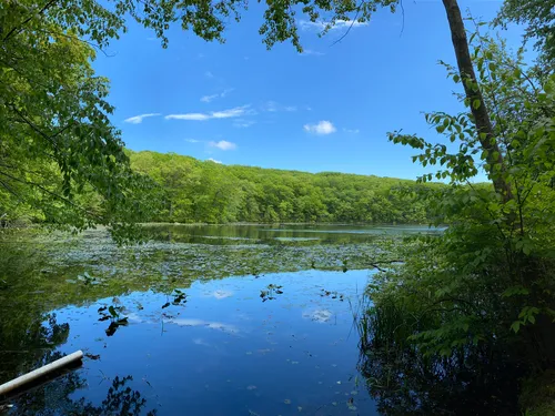 Best Hikes and Trails in Tourne County Park | AllTrails