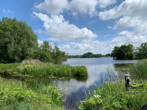 2023 Best Paved Trails in Drentsche Aa National Park | AllTrails