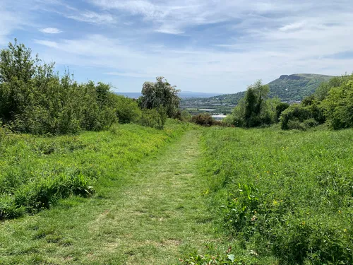 Best Hikes and Trails in Carnmoney Hill Wood | AllTrails