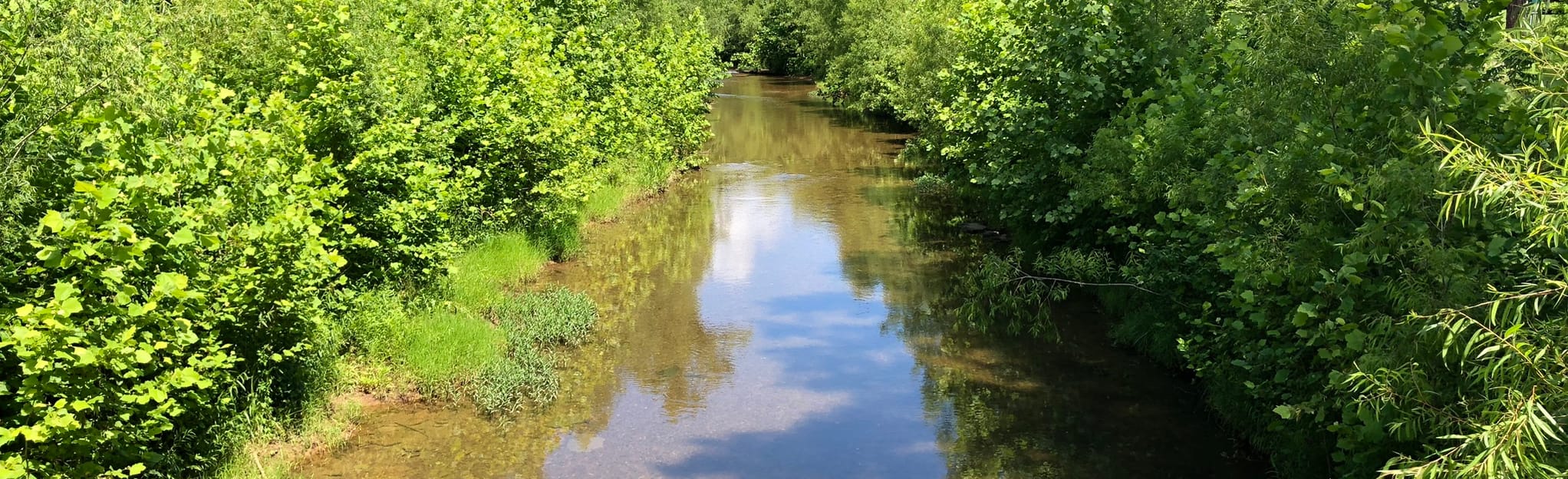 Masonic Park Path, Alabama - 95 Reviews, Map | AllTrails